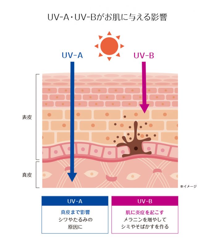 紫外線がお肌へ与える影響やダメージとは? 紫外線の基礎知識と合わせてご紹介! | Lala Life